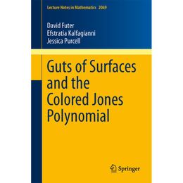 Springer Guts of Surfaces and the Colored Jones Polynomial - David Futer, Efstratia Kalfagianni, Jessica Purcell, Kartoniert (TB)