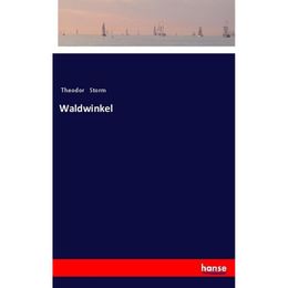 Hansebooks Waldwinkel - Theodor Storm, Kartoniert (TB)