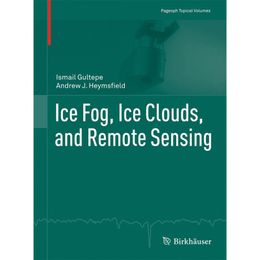 Springer International Publishing Ice Fog, Ice Clouds, and Remote Sensing - Ismail Gultepe, Andrew J. Heymsfield, Kartoniert (TB)