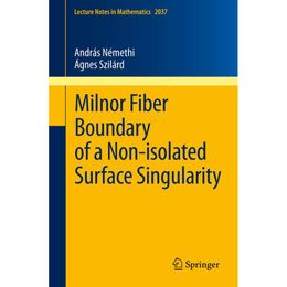 Springer Milnor Fiber Boundary of a Non-isolated Surface Singularity - András Némethi, Ágnes Szilárd, Kartoniert (TB)