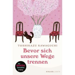 Droemer Knaur Verlagsgruppe Bevor sich unsere Wege trennen / Café Reihe Bd.2 - Toshikazu Kawaguchi, Taschenbuch