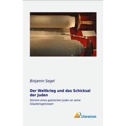 Der Weltkrieg und das Schicksal der Juden - Binjamin Segel, Kartoniert (TB)
