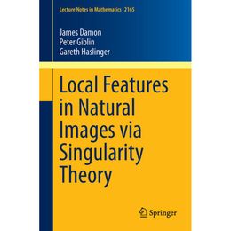 Springer Local Features in Natural Images via Singularity Theory - James Damon, Peter Giblin, Gareth Haslinger, Kartoniert (TB)