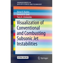 SpringerBriefs in Applied Sciences and Technology / Visualization of Conventional and Combusting Subsonic Jet Instabilities - Victor V. Kozlov, Genrich R. Grek, Yury A. Litvinenko, Kartoniert (TB)