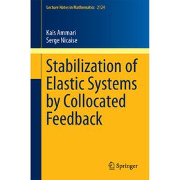 Springer International Publishing Stabilization of Elastic Systems by Collocated Feedback - Kaïs Ammari, Serge Nicaise, Kartoniert (TB)