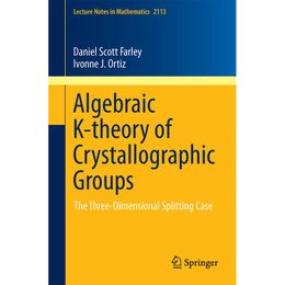 Springer International Publishing Algebraic K-theory of Crystallographic Groups - Daniel Scott Farley, Ivonne J. Ortiz, Kartoniert (TB)