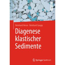 Springer Berlin Heidelberg Diagenese klastischer Sedimente - Reinhard Hesse, Reinhard Gaupp, Kartoniert (TB)
