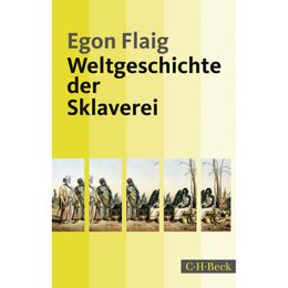 Beck Weltgeschichte der Sklaverei - Egon Flaig, Taschenbuch