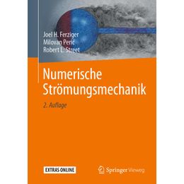 Springer Berlin Heidelberg Numerische Strömungsmechanik - Joel H. Ferziger, Milovan Peric, Robert L. Street, Kartoniert (TB)