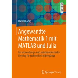 Springer Berlin Heidelberg Angewandte Mathematik 1 mit MATLAB und Julia - Daniel Bättig, Kartoniert (TB)