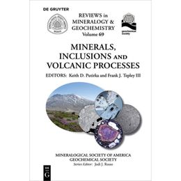 De Gruyter Minerals, Inclusions And Volcanic Processes, Kartoniert (TB)