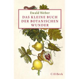 Beck Das kleine Buch der botanischen Wunder - Ewald Weber, Gebunden