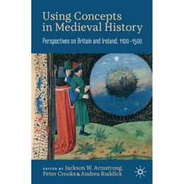 Springer International Publishing Using Concepts in Medieval History, Kartoniert (TB)