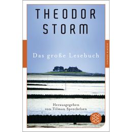 Das große Lesebuch - Theodor Storm, Taschenbuch
