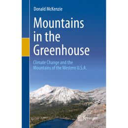 Springer International Publishing Mountains in the Greenhouse - Donald McKenzie, Kartoniert (TB)