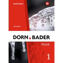 Dorn / Bader Physik SI - Allgemeine Ausgabe 2019, Gebunden