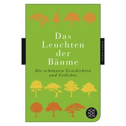 Das Leuchten der Bäume, Taschenbuch