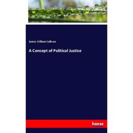 Hansebooks A Concept of Political Justice - James William Sullivan, Kartoniert (TB)