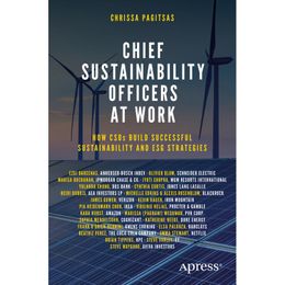 Chief Sustainability Officers At Work - Chrissa Pagitsas, Kartoniert (TB)