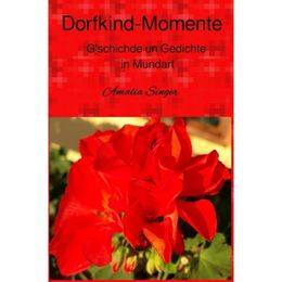 Dorfkind-Momente - Amalia Singer, Kartoniert (TB)