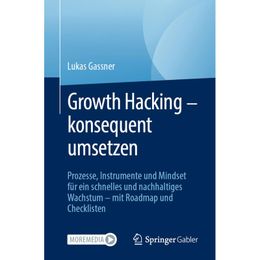 Growth Hacking - konsequent umsetzen - Lukas Gassner, Kartoniert (TB)
