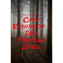 Camp Raindrop - Des Teufels Spiel - Aaron Schöneborn, Kartoniert (TB)