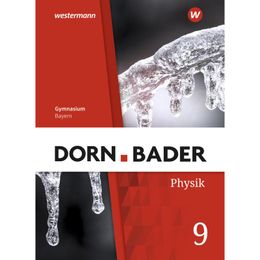 Dorn / Bader Physik SI - Ausgabe 2019 für Bayern, Gebunden
