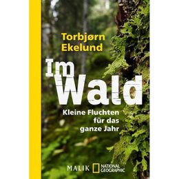 Malik Im Wald - Torbjørn Ekelund, Taschenbuch