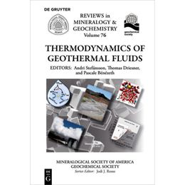 De Gruyter Thermodynamics of Geothermal Fluids, Kartoniert (TB)