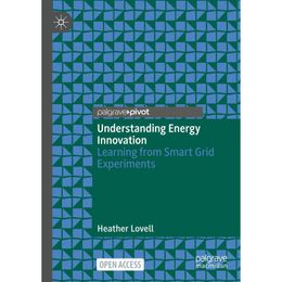 Palgrave Macmillan UK Understanding Energy Innovation - Heather Lovell, Kartoniert (TB)