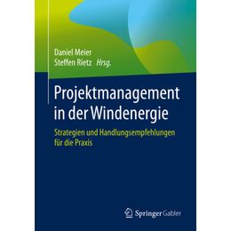 Springer Fachmedien Wiesbaden Projektmanagement in der Windenergie, Kartoniert (TB)