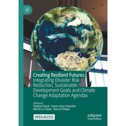 Palgrave Macmillan UK Creating Resilient Futures, Kartoniert (TB)