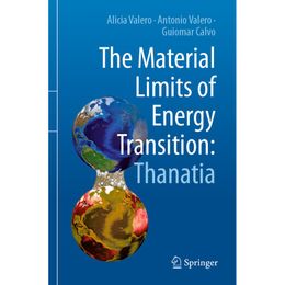 Springer International Publishing The Material Limits of Energy Transition: Thanatia - Alicia Valero, Antonio Valero, Guiomar Calvo, Kartoniert (TB)