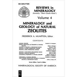 De Gruyter Mineralogy and Geology of Natural Zeolites, Kartoniert (TB)