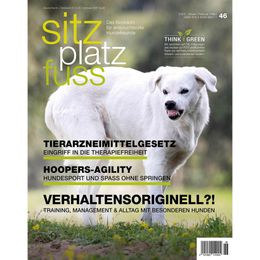 SitzPlatzFuss, Ausgabe 46, Kartoniert (TB)