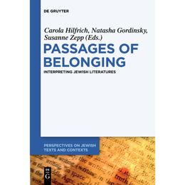 De Gruyter Passages of Belonging, Kartoniert (TB)