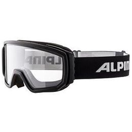 Alpina - Scarabeo Doubleflex Clear - Goggles schwarz/grau