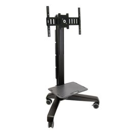 Ergotron Neo-Flex Mobile MediaCenter VHD (24-191-085)