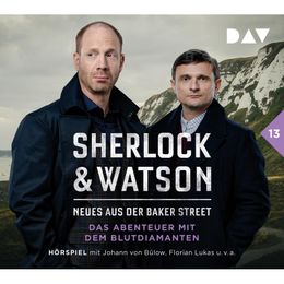 Sherlock & Watson - Neues aus der Baker Street: Das Abenteuer mit dem Blutdiamanten (Fall 13),2 Audio-CD - Viviane Koppelmann (Hörbuch)