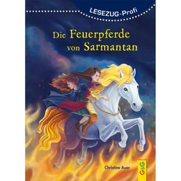LESEZUG/Profi: Die Feuerpferde von Sarmantan - Christine Auer, Gebunden
