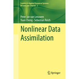 Springer Nonlinear Data Assimilation - Peter Jan Van Leeuwen, Yuan Cheng, Sebastian Reich, Kartoniert (TB)