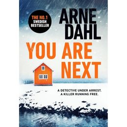 You Are Next - Arne Dahl, Kartoniert (TB)