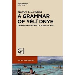 A Grammar of Yélî Dnye - Stephen C. Levinson, Kartoniert (TB)