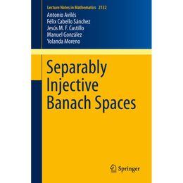 Springer Separably Injective Banach Spaces - Antonio Aviles, Félix Cabello Sánchez, Jesus M. F. Castillo, Kartoniert (TB)
