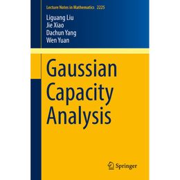 Springer International Publishing Gaussian Capacity Analysis - Liguang Liu, Jie Xiao, Dachun Yang, Wen Yuan, Kartoniert (TB)
