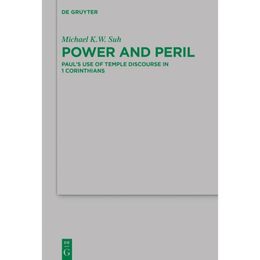 De Gruyter Power and Peril - Michael K.W. Suh, Kartoniert (TB)