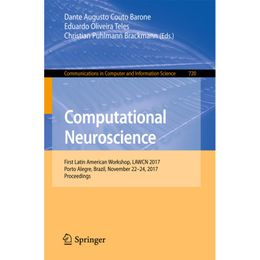 Springer Computational Neuroscience, Kartoniert (TB)
