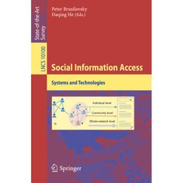 Springer Social Information Access, Kartoniert (TB)