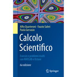 Springer Calcolo Scientifico - Alfio Quarteroni, Fausto Saleri, Paola Gervasio, Kartoniert (TB)