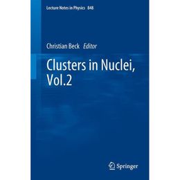 Springer Clusters in Nuclei, Vol.2, Kartoniert (TB)